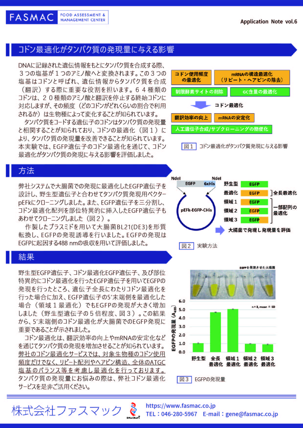 人工遺伝子合成 アプリケーションノート - FASMAC