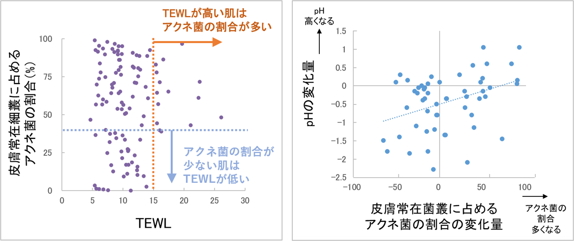 肌あれと皮膚常在菌の関係を解析 - FASMAC